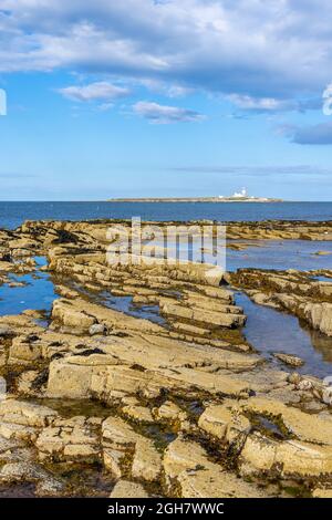 Rocky Shore at Amble by the Sea Northumberland England Stock Photo - Alamy