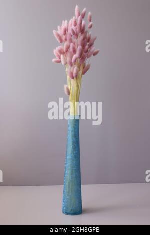 Dried bunny tail grass in vase on sunset. Shadows on the wall. Minimal ...