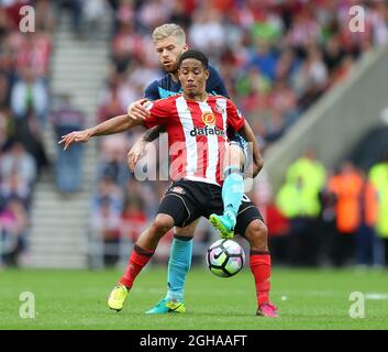 Steven Pienaar, Sunderland Stock Photo - Alamy