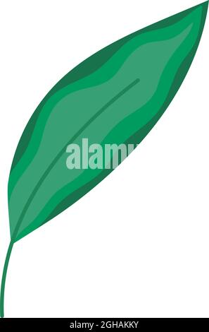 lanceolate leaf design Stock Vector Image & Art - Alamy
