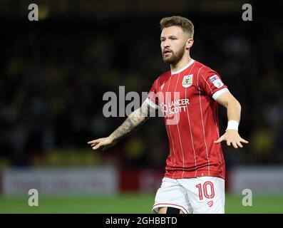 Bristol City's Matty Taylor in action during the match Stock Photo - Alamy