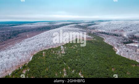 Aerial view of a half green half snowy forest Stock Photo - Alamy