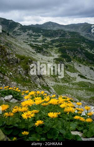 Landscape from Parang mountains from Romania Stock Photo - Alamy