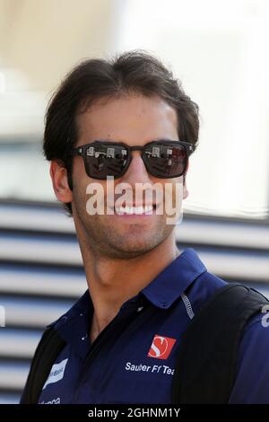 Felipe Nasr (BRA) Sauber F1 Team. Brazilian Grand Prix, Thursday 10th ...