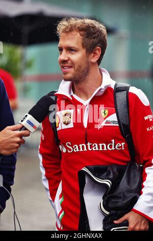 Sebastian Vettel (GER) Ferrari. Brazilian Grand Prix, Friday 10th ...
