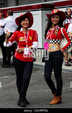 Ferrari fans. Japanese Grand Prix, Sunday 7th October 2018. Suzuka ...