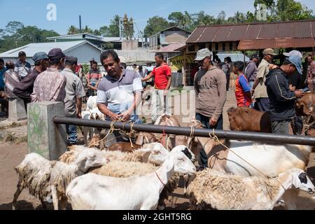 Animal market on Java Island, Indonesia Stock Photo - Alamy