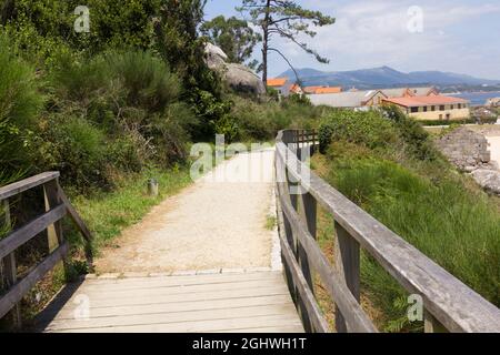 Rustic wooden path near the sea on a sunny day. Dark wood Stock Photo ...