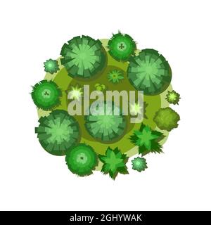 Small forest with height. Park with trees. View from above. Plant ...