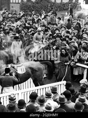 Dorothy Paget leading her horse Golden Miller through a huge crowd ...