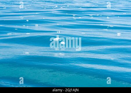 Svalbard, Nordaustlandet Island. The water around the melting glacier ...