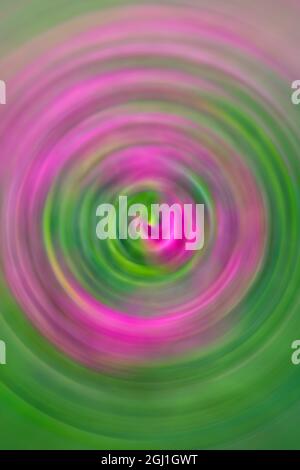 Pink and lime green spiral abstract pattern Stock Photo - Alamy