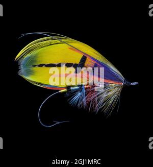 Atlantic Salmon Fly designs 'Shannon' Stock Photo - Alamy