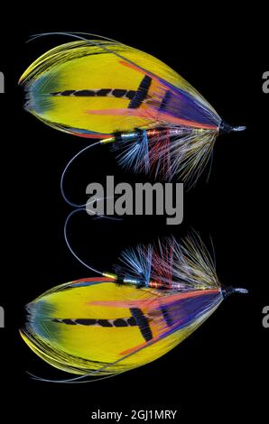 Atlantic Salmon Fly designs 'Shannon' Stock Photo - Alamy