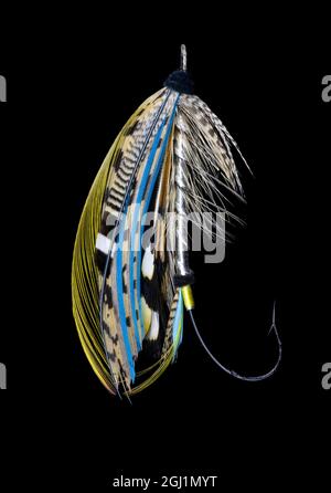 Atlantic Salmon Fly designs 'Silver Doctor' Stock Photo - Alamy