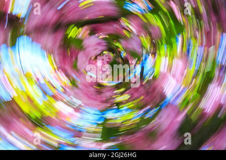 Graphic views combining slow shutter speed and motion, Ornamental ...