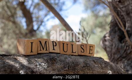 The word impulse was created from wooden cubes Stock Photo - Alamy