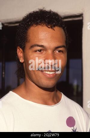 Ray Parker Jr. Circa 1980's Credit: Ralph Dominguez/MediaPunch Stock ...