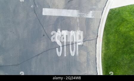 STOP sign and stop line are marked on the asphalt of the roadway Stock ...
