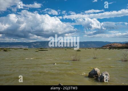 Lake Carla, one of the most important wetlands in Greece Stock Photo ...