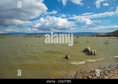 Lake Carla, one of the most important wetlands in Greece Stock Photo ...