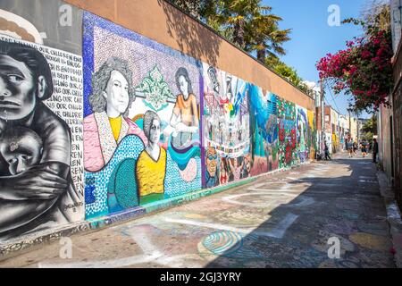 Murals, Clarion Alley, Mission District, Mission, San Francisco ...