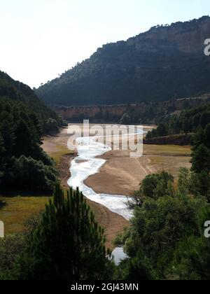 Shot of a grassy field beneath the forest on a mountain on a foggy day ...