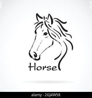 horse drawing, horses illustration clip art, vintage illustration ...