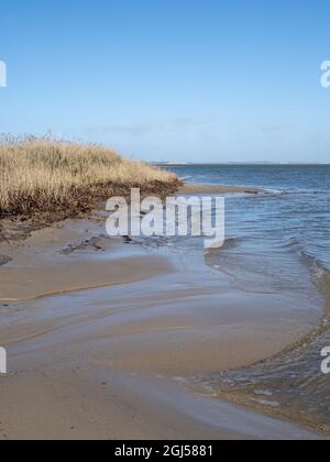 Peaceful sandy shore of Sylt island on a sunny day, Germany Stock Photo ...