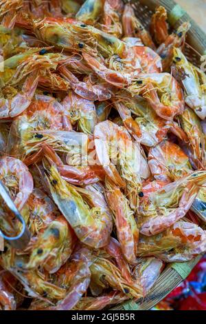 Sun dried shrimp, food preservation with sun drying technique. Dried ...