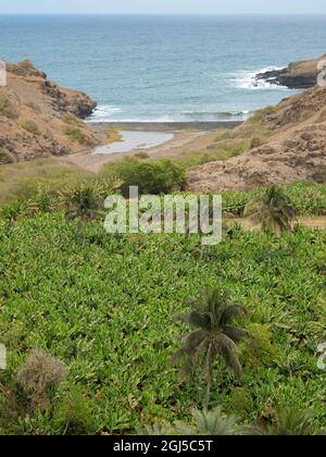 Agriculture near Pedra Badejo. Island of Santiago (Ilha de Santiago ...