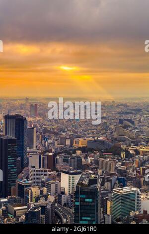 Shibuya, Tokyo, Japan cityscape overlooking the scramble crosswalk at ...