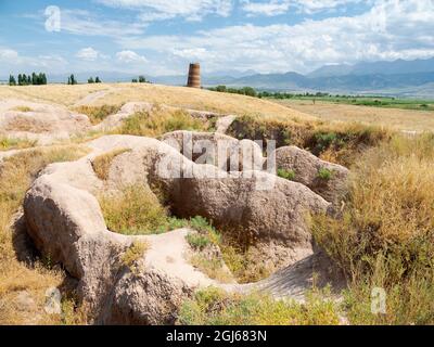 The area of Balasagun an ancient city of the Kara-Khanid Khanate ...