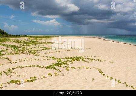 Sandy Point National Wildlife Refuge beach, St. Croix, US Virgin ...