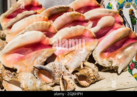 Souvenir shells at Grand Turk Cruise Port, Grand Turk Island, Turks and ...