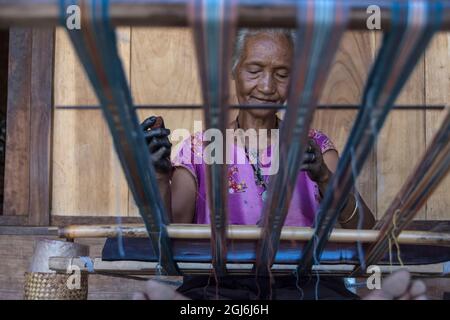 Senior woman with indigo stained hands weaving an ikat cloth in the ...