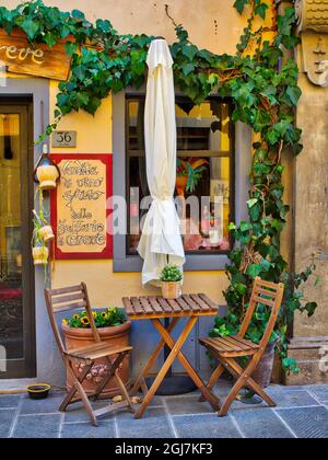 Europe, Italy, Chianti. Table and chairs with a flowering begonia in ...