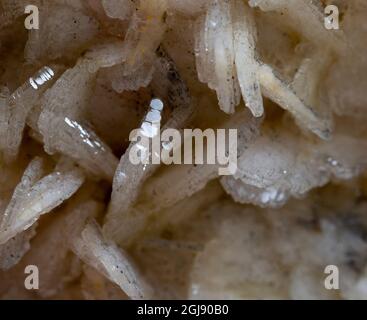 barite mineral specimen stone rock geology gem crystal Stock Photo - Alamy