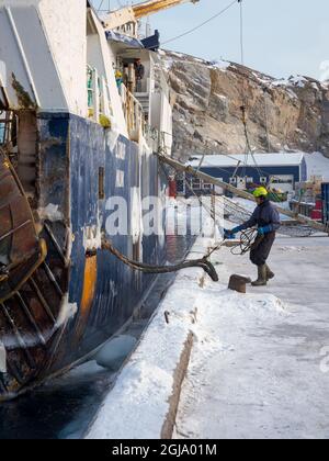 Trawler Lomur run by Royal Greenland. Winter in the frozen harbour of ...