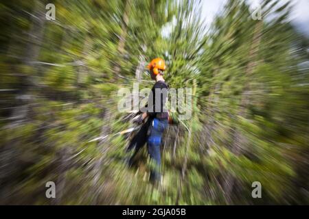 SARNA 2013-06-12 Forestry, woodman, lumberer, lumberman, lumberjack ...