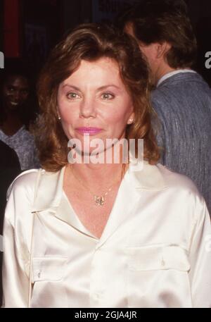 Marsha Mason Circa 1980's Credit: Ralph Dominguez/MediaPunch Stock ...