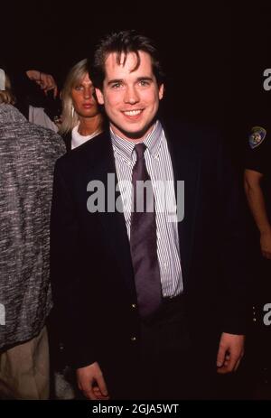 Tim Quill Circa 1980's Credit: Ralph Dominguez/MediaPunch Stock Photo ...