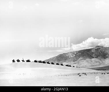 DESERT LEGION 1953 Universal Pictures film with Arlene Dahl Stock Photo ...