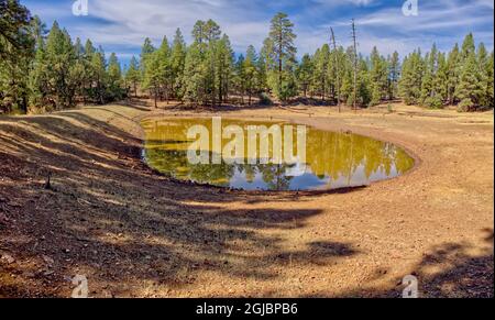 The Dutch Kid Tank in the Kaibab National Forest of northern Arizona ...