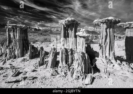Sand tufa formations on the south shore of Mono Lake, Mono Basin ...
