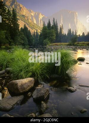 The Merced River as it flows through Yosemite Valley Stock Photo - Alamy