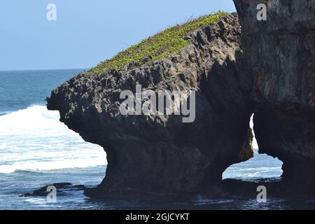 "Indrayanti Beach, Yogyakarta - where golden sands, gentle waves, and ...
