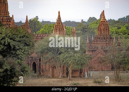 The old city of Bagan, Myanmar Foto: Magnus Martinsson / TT / 2734 ...