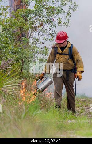 Firefighter spreads fire with drip torch Stock Photo - Alamy