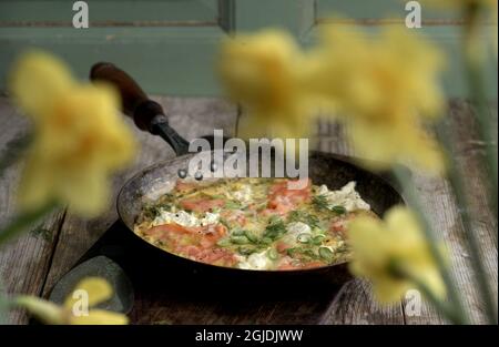 An eegg dish - salmon frittata Photo: Janerik Henriksson / TT / code ...